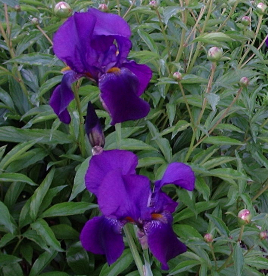 Two Steps Forward – Grace, Truth, and Love